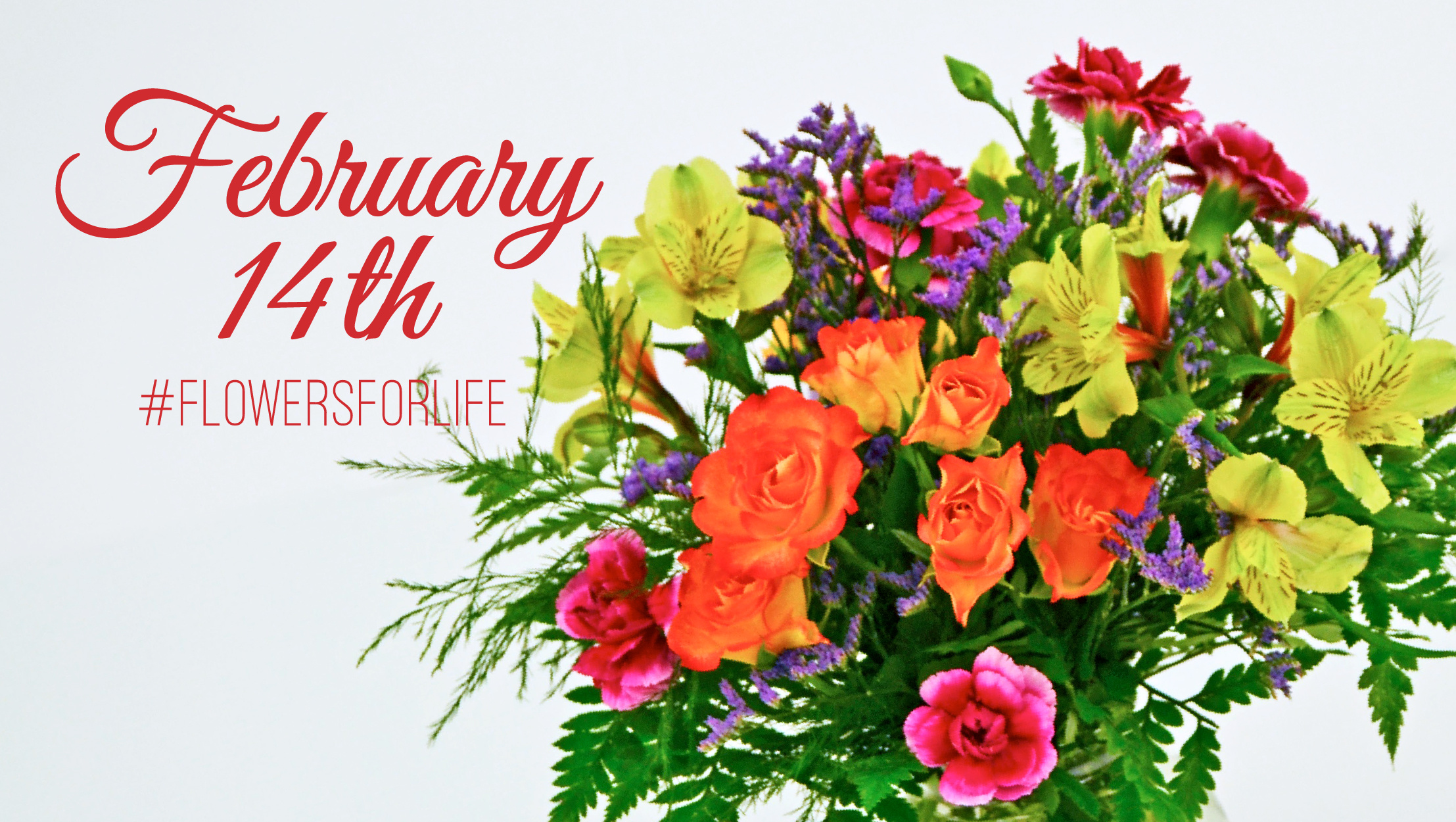 VALENTINE'S DAY 2025 WEBSITE ANNOUNCEMENT